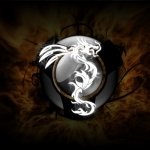 Download Fantasy Dragon PFP