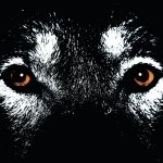 Download True Blood TV Show Wolf PFP