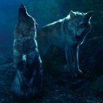 Download True Blood TV Show Wolf PFP