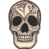 Skull Pfp