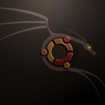 Download Technology Ubuntu PFP