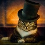 Download Cat Funny Top Hat Monocle Humor Animal PFP
