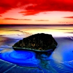 Download Nature Artistic PFP