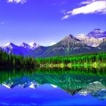 Download Nature Scenic PFP