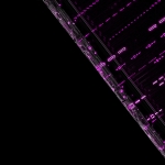 Download Technology Binary PFP