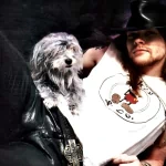 Guns N' Roses - Desktop Wallpapers, Phone Wallpaper, PFP, Gifs, and More!