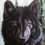 Download Animal Wolf PFP