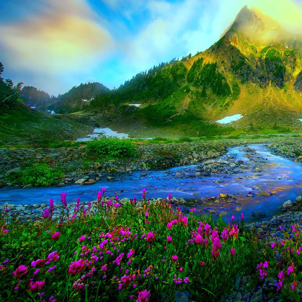 Download Earth Landscape Spring Mountain Flower Sky Stream Nature PFP