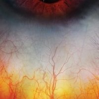 Download Artistic Eye PFP