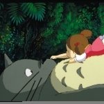 Download Anime My Neighbor Totoro PFP