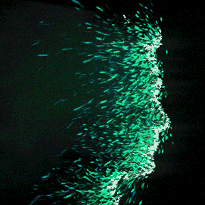 Download Artistic Psychedelic PFP - Avatar Abyss