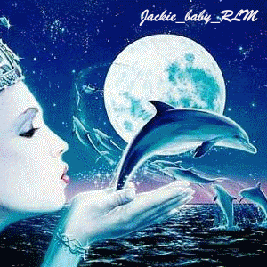 Download Animal Dolphin PFP