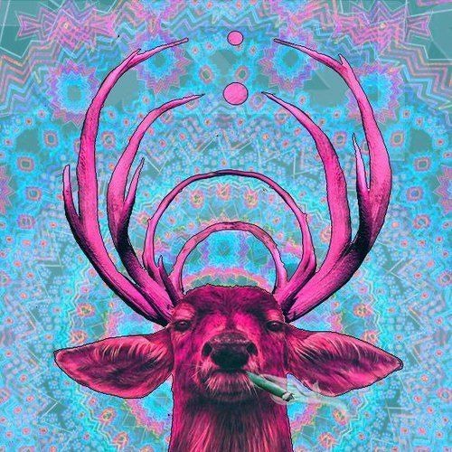 Artistic Psychedelic Pfp
