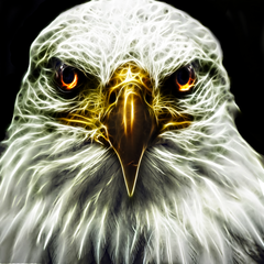 Download Artistic Psychedelic PFP