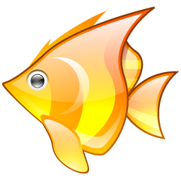 Download Animal Fish PFP