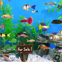 Download Animal Fish PFP