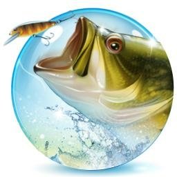 Download Animal Fish PFP