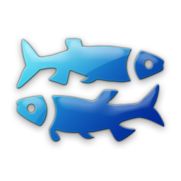Download Animal Fish PFP