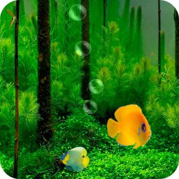 Download Animal Fish PFP
