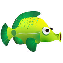 Download Animal Fish PFP