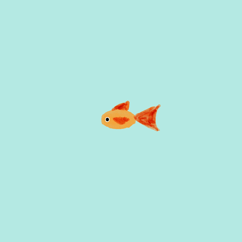 Download Animal Fish PFP