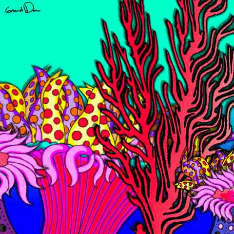 Great Barrier Reef PFP