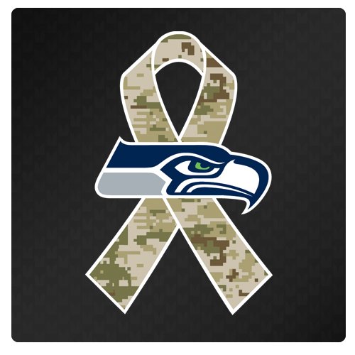 Seattle Seahawks Pfp