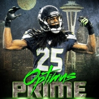 Seattle Seahawks Pfp