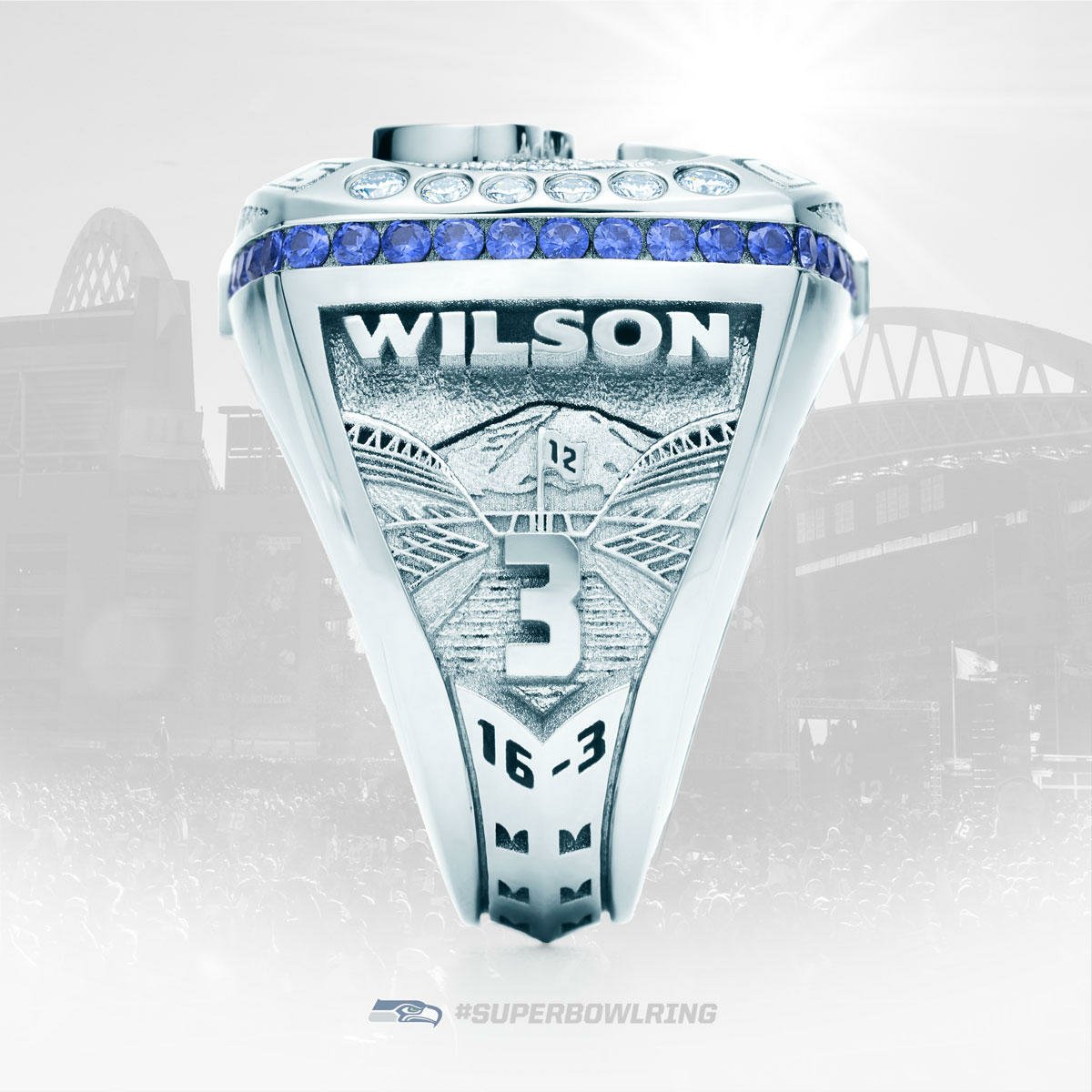 Download Football NFL Seattle Seahawks Sports PFP