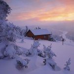 Download Nature Winter PFP