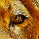 Download Animal Lion PFP