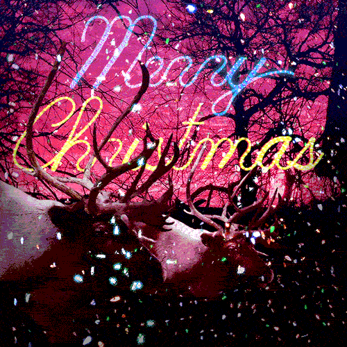 Download Holiday Christmas PFP