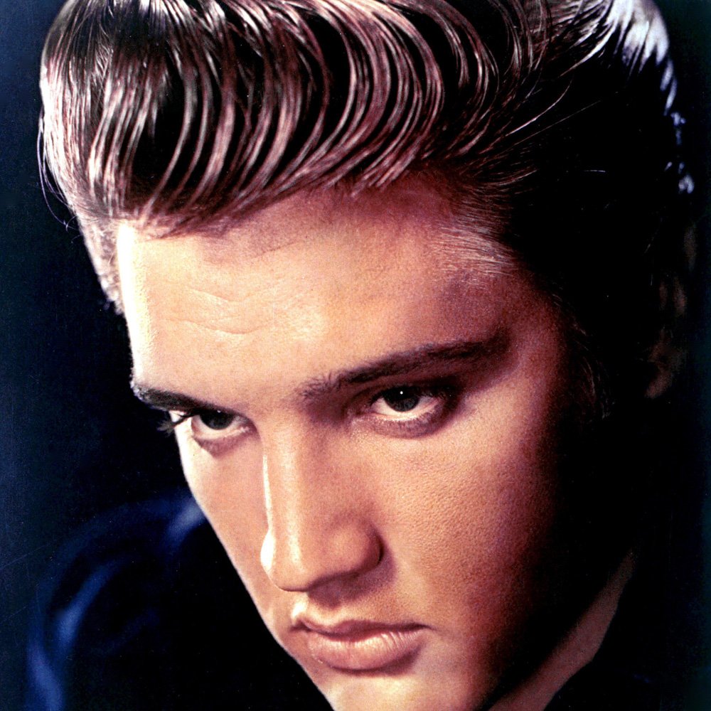 Elvis Presley pfp - Avatar Abyss
