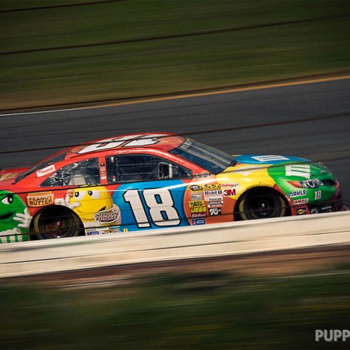 Download Race Car NASCAR Vehicle PFP