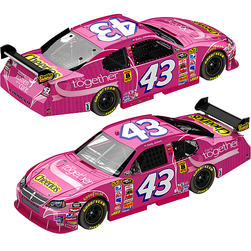 Nascar Pfp