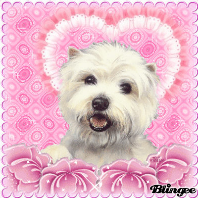 Psychedelic Forum Avatar | Profile Photo - ID: 72864 - Avatar Abyss