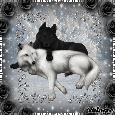 Download Wolf Glitter Animal PFP