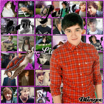 Liam Payne PFP