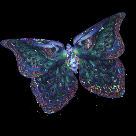 Download Artistic Butterfly PFP