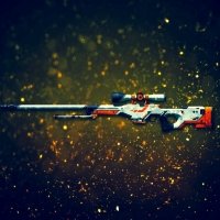 213 Counter-Strike pfp