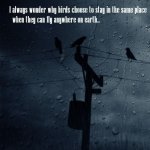 Download Misc Motivational PFP