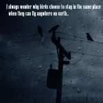 [40+] Motivational PFP