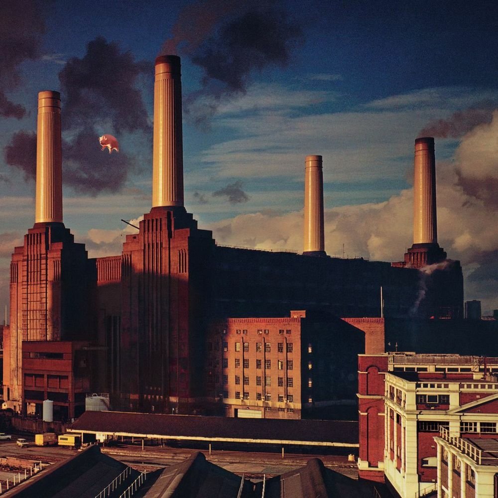 Download Classic Rock Pink Floyd Music PFP