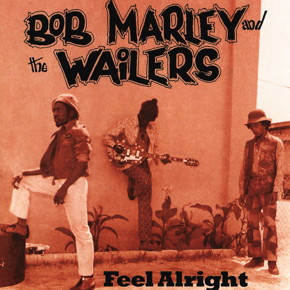 Download Ska Reggae Bob Marley Music PFP