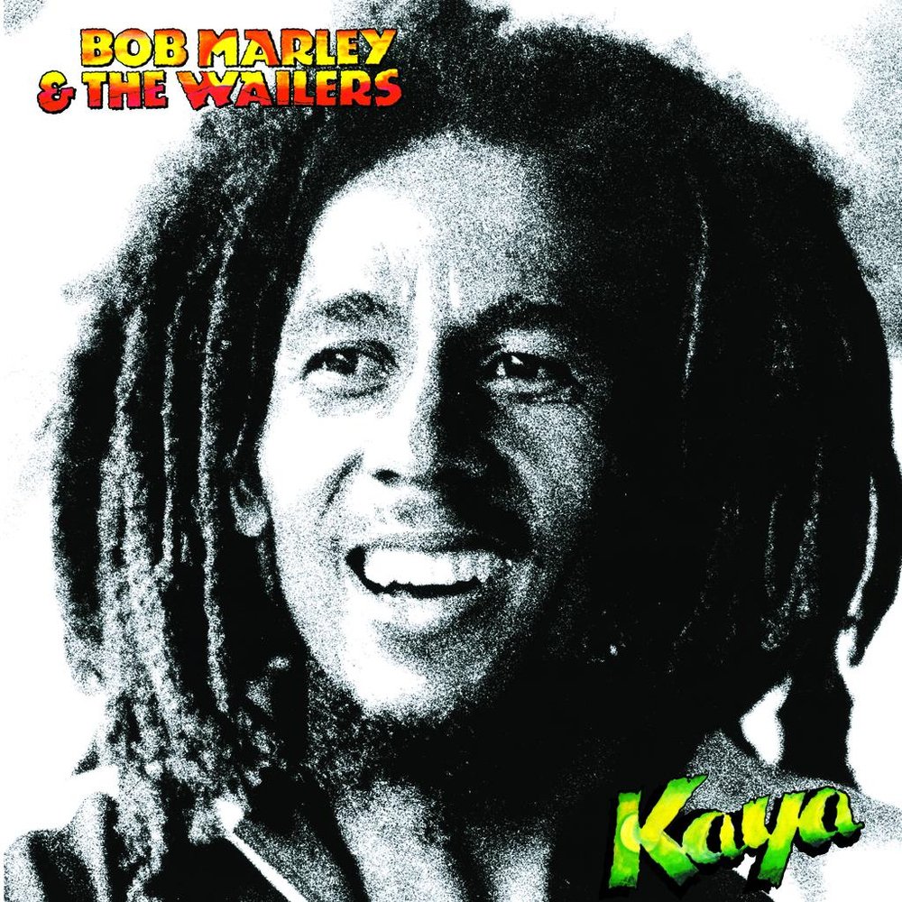 Download Ska Reggae Bob Marley Music PFP