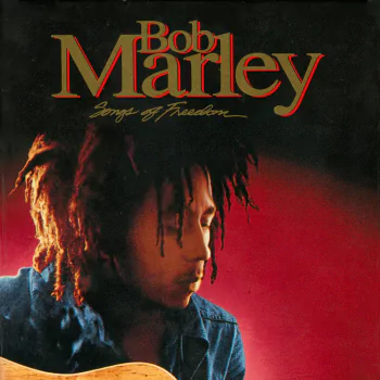 Bob Marley PFP