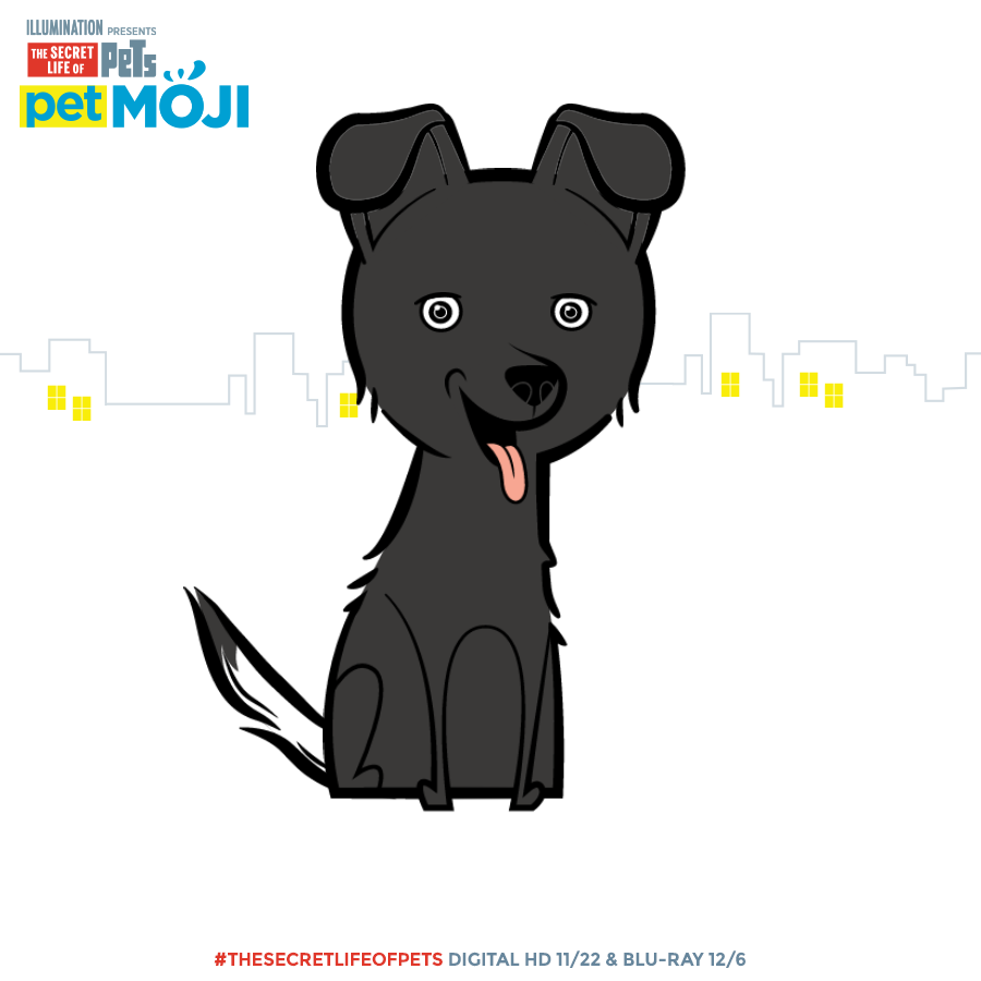 The Secret Life Of Pets PFP