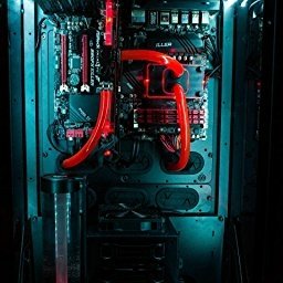 Download Technology Computer PFP