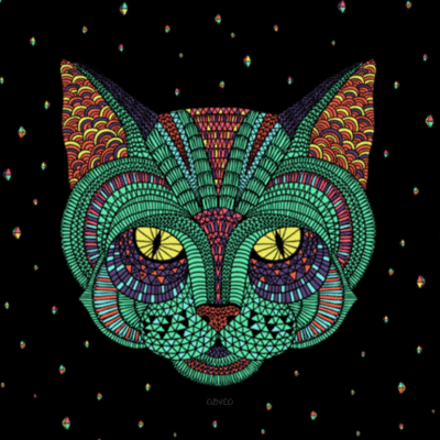 Download Animal Cat PFP