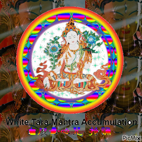 Download Religious Buddhism PFP